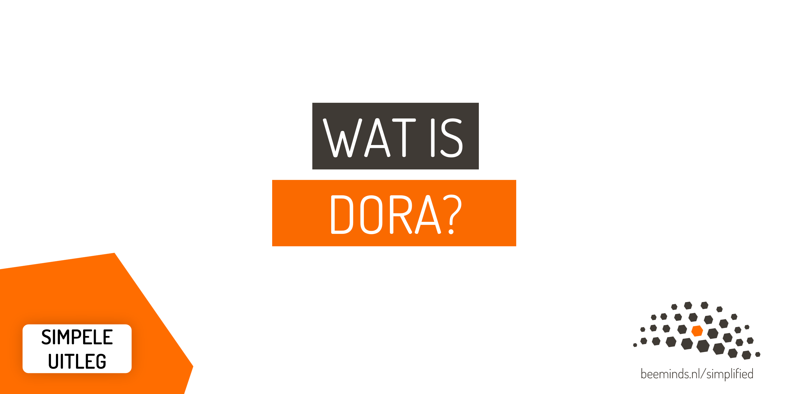 'DORA regelgeving' eenvoudig uitgelegd | Beeminds